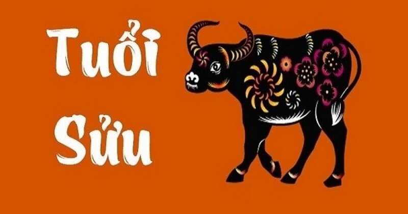 Tìm hiểu về giống trâu con gì đây con trâu và vai trò của chúng trong ...